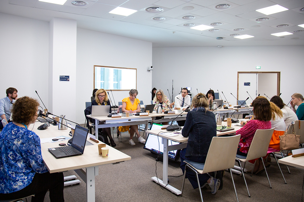 CanScreen-ECIS: Gallery